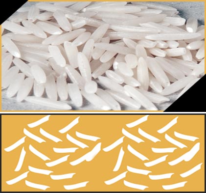 Basmati Rice – bficompk